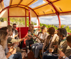 Weinprobe Würzburg mit Planwagen » Planwagen Weinbergsfahrt